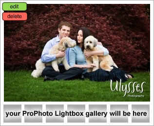 Rachel & Ross’ Engagement » New York Wedding Photographer – Ulysses ...